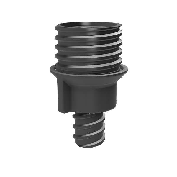 Neurovascular Models - Life Model Designs